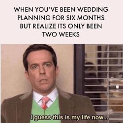 30 Best Wedding Memes To Reduce Planning Stress