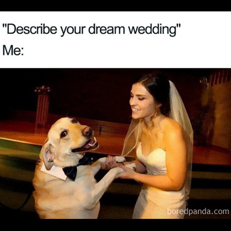 30 Best Wedding Memes To Reduce Planning Stress