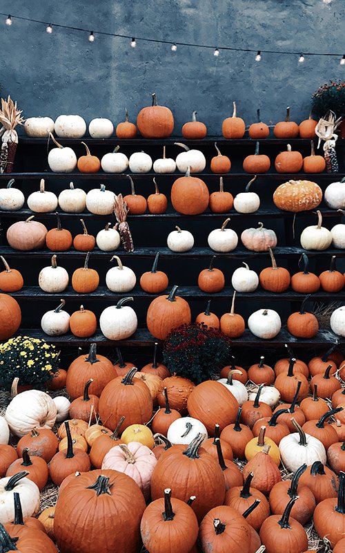 Halloween Tumblr Pictures