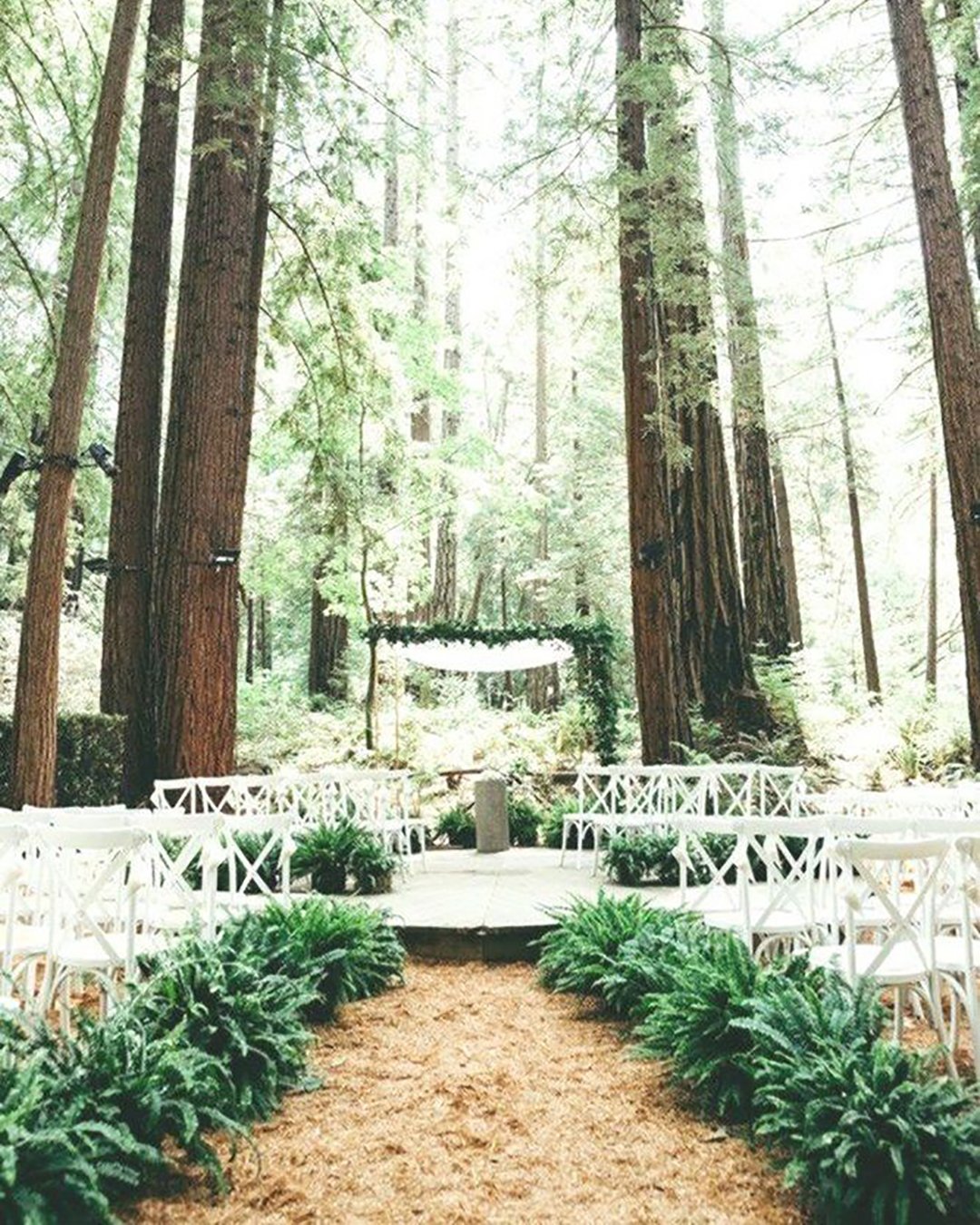 White Wedding Decor For Trees White Wedding Tree