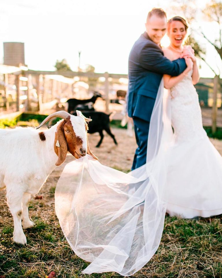 Rustic Wedding Venues In New Jersey (Reviews & Prices)